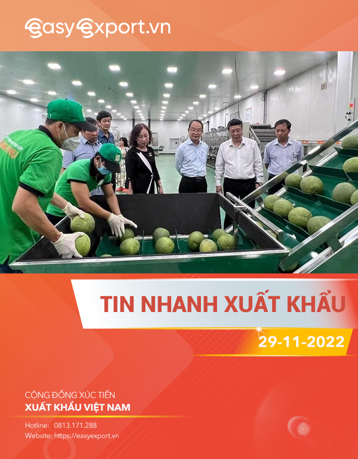 Tin nhanh xuất khẩu Easy Export ngày 29/11/2022 - Easy Export