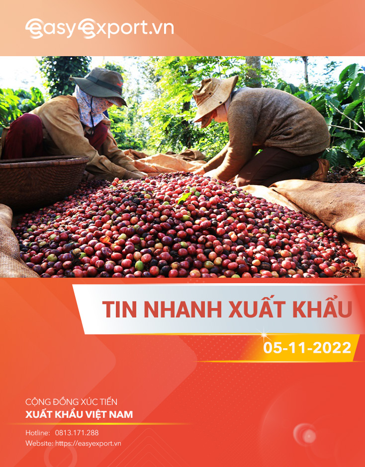 Tin nhanh xuất khẩu Easy Export ngày 05/11/2022 - Easy Export