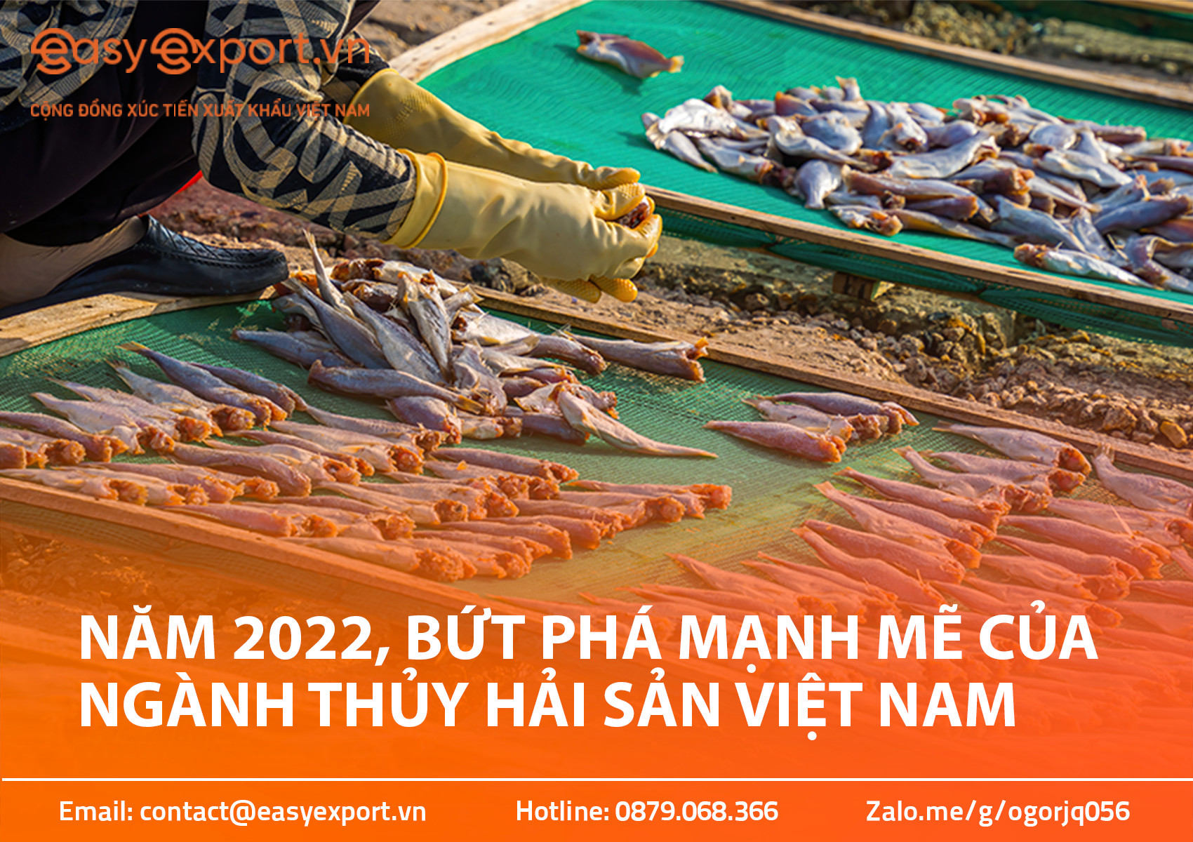 NĂM 2022: NGÀNH THỦY SẢN VIỆT NAM BỨT PHÁ MẠNH MẼ VỚI CON SỐ ẤN TƯỢNG- EEA 02 - Easy Export